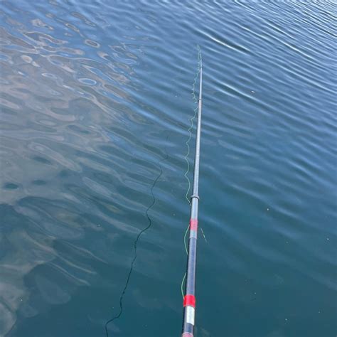 チヌフカセ釣り 収穫有り フカヤの知多半島DE釣り鯛放題
