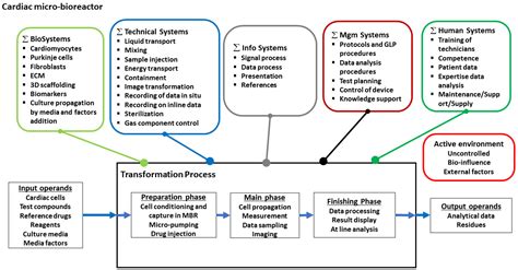 Bioengineering Free Full Text Conceptual Design Of Micro Bioreactors And Organ On Chips For