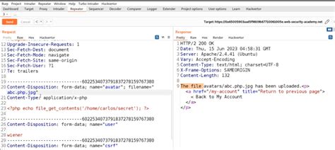 Portswigger File Upload Vulnerabilities Walkthrough