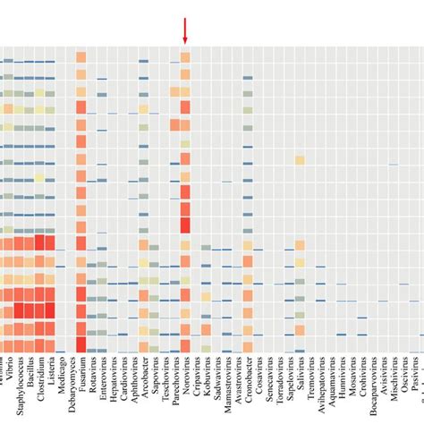 Species Distribution Heatmap Of Effective Reads Of The Trace Seq Method