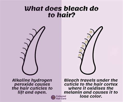 Does Bleach Damage Your Hair 5 Top Tips To Prevent Damage