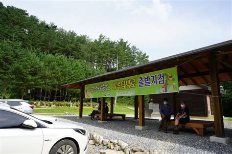 울진 비대면 여행 금강소나무숲길 트레킹 네이버 블로그