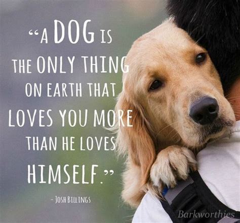 20 Quotes That Prove Dogs Are Truly Womans Best Friend Yourtango
