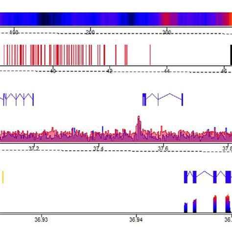 Rep Seq Analysis Of A Mexicanum Heavy Chain Variable Region From