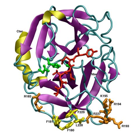 Chemical Science Basic Molecular Dynamics