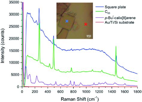 Raman Spectra For The Square Plate Blue Line Autisi Substrate Red