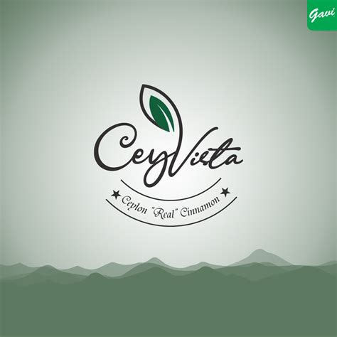 Classic Logo Design Gavi Digital