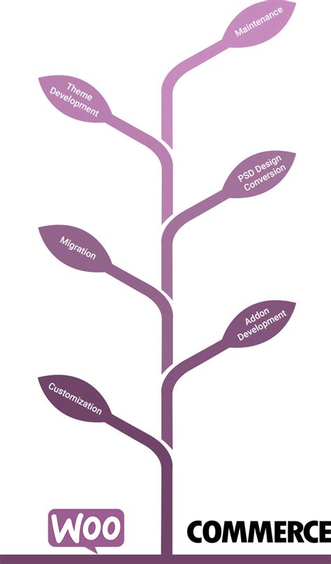 Hire The Top Woocommerce Developers Next Big Technology