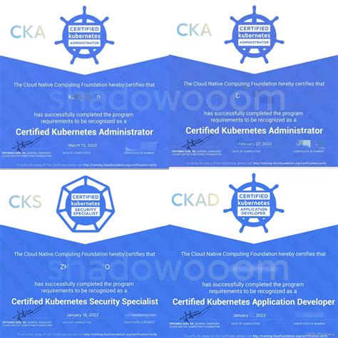 kubernetes cks v1 23 考试 实验 模拟环境 （最新考题搭建） cks题库搭建 csdn博客