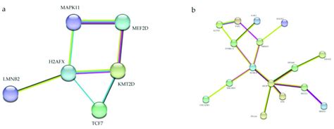 Protein Protein Interaction Networks Of Trf 58 74 Gly Gcc 1 And