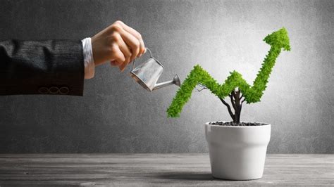 Posttest Modul 4 Bahasa Inggris Niaga University Quiz Quizizz