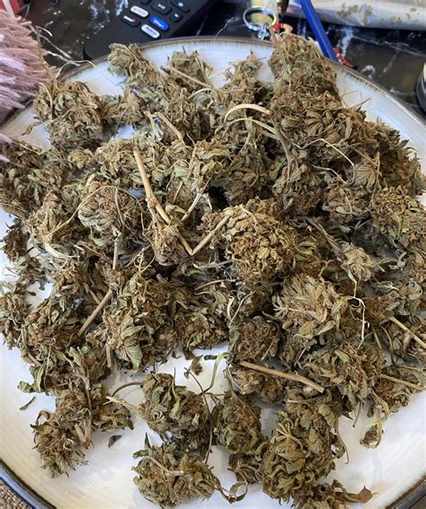 Plug Sold Me Sum Bs 🤬 R Phillywiki