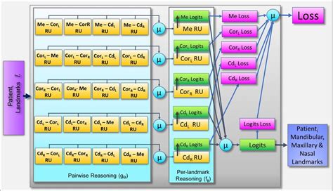 Network Architecture A Relational Reasoning Network For 5 Input Download Scientific Diagram