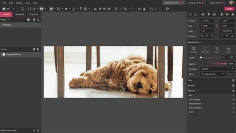 Gravit Designer An Overview And Review