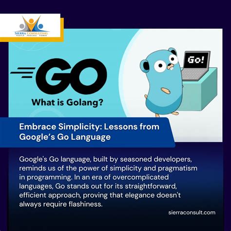 Golang Programming Simplicityincode Efficientcoding Techskills
