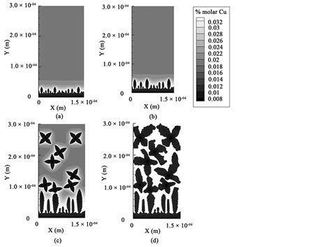 Numerical Simulation Of Microstructural Evolution Via Phase Field Model Coupled To The Solutal