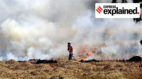How Replacing Coal With Paddy Straw In Brick Kilns Can Help Address Stubble Burning Menace