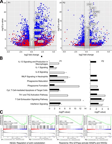 Transcriptomic And Proteomic Analyses A Volcano Plots Showing Up Download Scientific