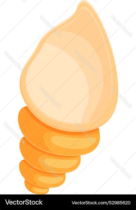 Beautiful Seashell Standing Upright On White Vector Image Beautiful Seashell Standing Upright On White Vector Image
