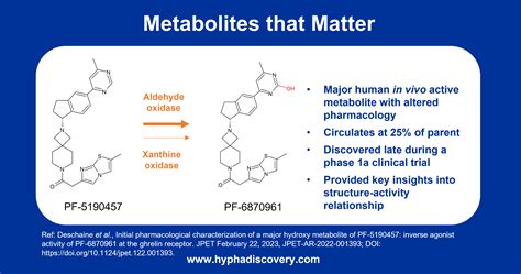 Active Aldehyde Oxidase Metabolite Hypha Discovery