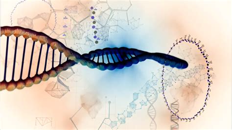 Rna Based Technologies