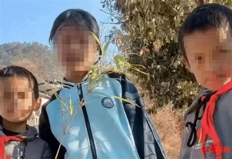 大理12岁失联双胞胎兄弟不幸身亡，警方正调查死因！长新乡姐姐水库