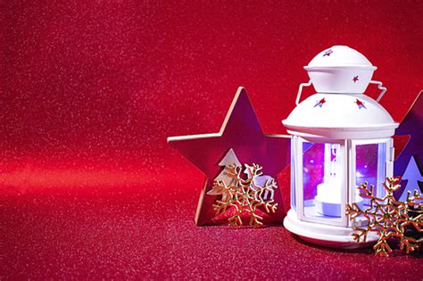 Borina231120 유토이미지 검색 결과