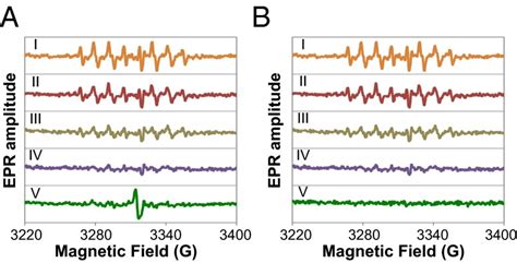 Highly Efficient Conversion Of Superoxide To Oxygen Using Hydrophilic