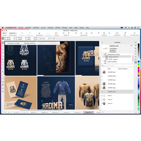 Coreldraw Graphics Suite 2021 13353909617 Oficjalne Archiwum Allegro