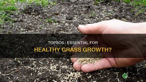 Topsoil Essential For Healthy Grass Growth Shuncy