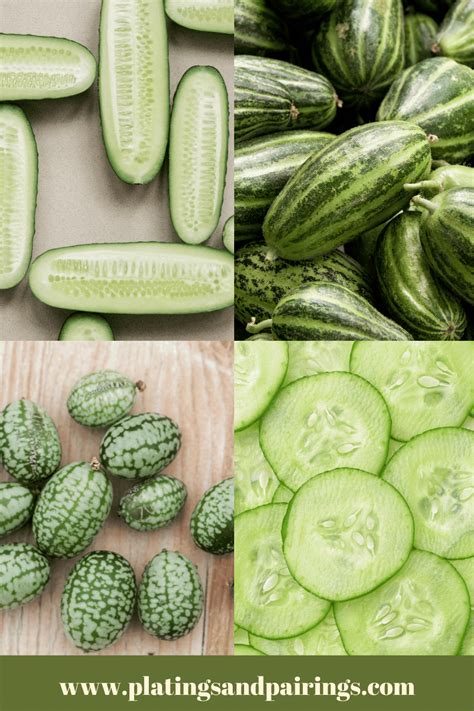 Cucumber
