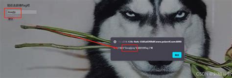 Polarctf靶场 Web Cookie欺骗、upload、签到 Csdn博客