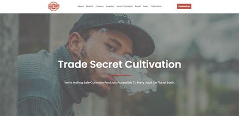 Wordpress Lms Ecommerce Services Worldwin Coder