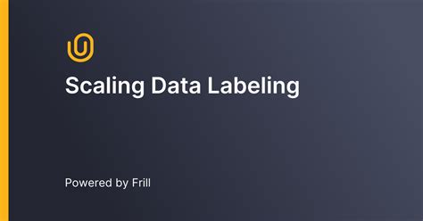 Scaling Data Labeling