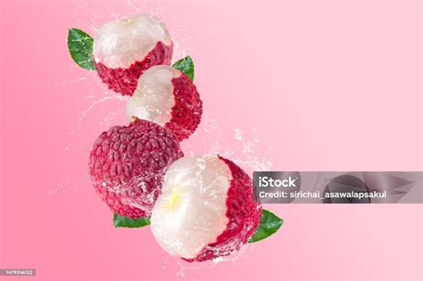 신선한 열매 또는 리치 과일과 파스텔 핑크 배경에 튀는 물로 만든 창의적인 레이아웃 과일 최소한의 개념과 복사 공간 리치에 대한 스톡 사진 및 기타 이미지 Istock