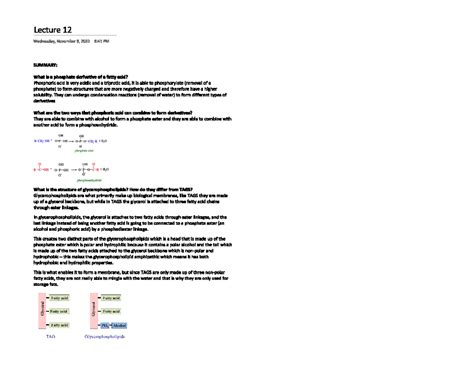 Bioc Lec12 Lipids Lecture BIOC 2580 Studocu