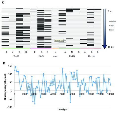 A The VcCA 23 Structure Obtained From Docking T 0 Ns B The Download Scientific Diagram