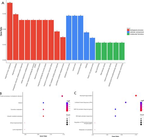 Go Kegg Reactome And Gsea Analyses Of The Differentially Expressed Download Scientific