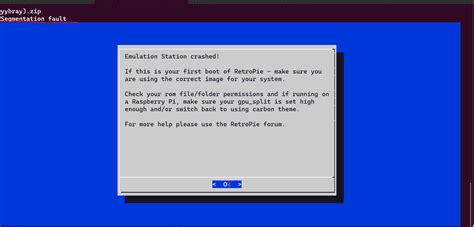 Retropie Crashes When Running In Wsl2 Retropie Forum