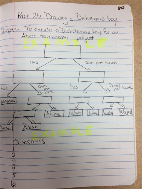 Mrs Greeley Howards Biology Class Part 2b How To Write A Dichotomous Key