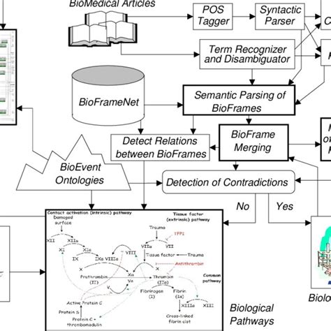 Knowledge Extraction Framework Download Scientific Diagram