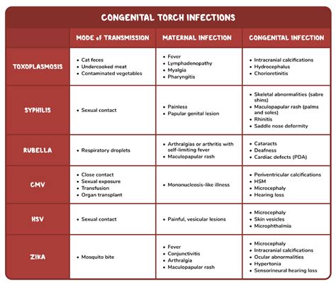 Torch Infection Pathology Outlines At Loren Bona Blog