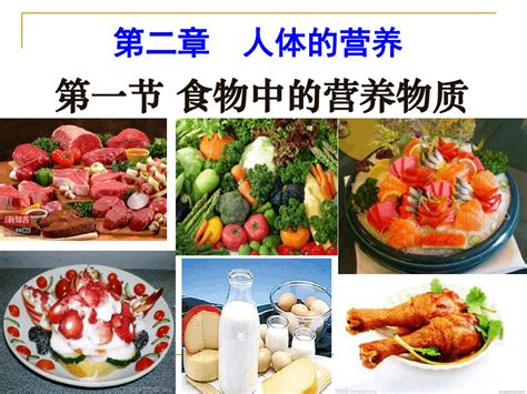 《食物中的营养物质》人体的营养ppt课件6一等奖优质课比赛公开课word文档在线阅读与下载无忧文档