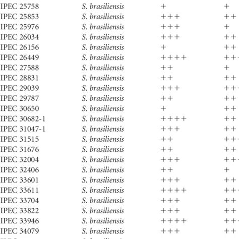 Production Of A Diffusible Melanoid Pigment By Sporothrix Mycelial
