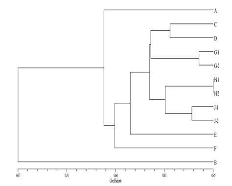 Upgma Clustering For The 12 Maize Inbred Lines And Hybrids Based On