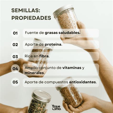 Semillas Las Utilizas Correctamente YoQueComo