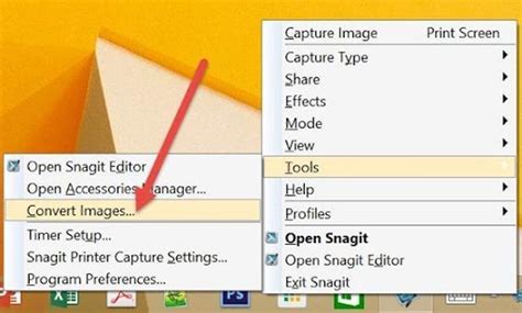 How To Use Snagit 11 Editor Qosasgroup