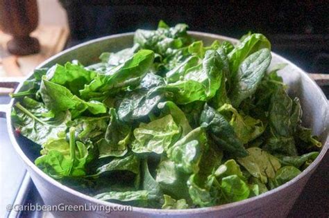Easy Lalo Jute Leaves With Beef Spinach And Blue Crab Stew Caribbean Green Living
