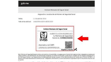 Así Puedes Sacar Tu Número De Seguridad Social Por Primera Vez En 2025