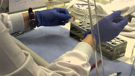 Cytogenetics Cytogeneticist Youtube